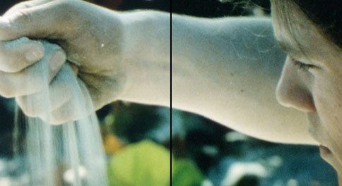 Cintel | Blackmagic Design