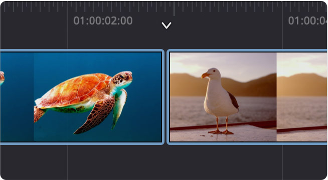 DaVinci Resolve Speed Editor | Videodesk Australia
